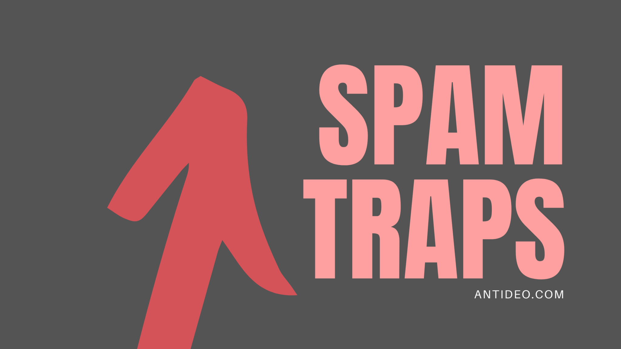 What are spam traps and how to avoid them - Antideo